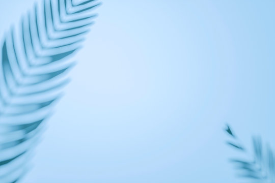 "Palm Fronds" Images – Browse 1,831 Stock Photos, Vectors, and Video ...