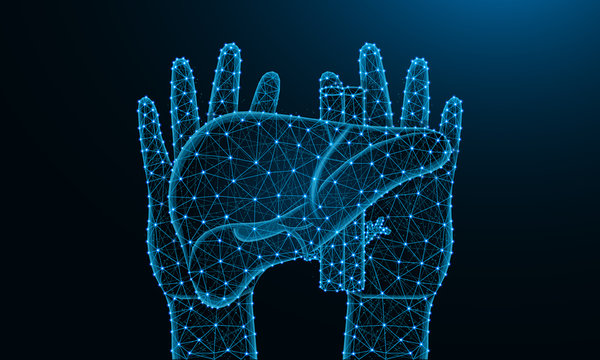 "Exocrine Glands" Images – Browse 167 Stock Photos, Vectors, and Video ...