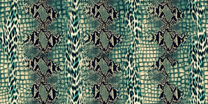 "Piton Skin" Images – Browse 6 Stock Photos, Vectors, and Video | Adobe ...