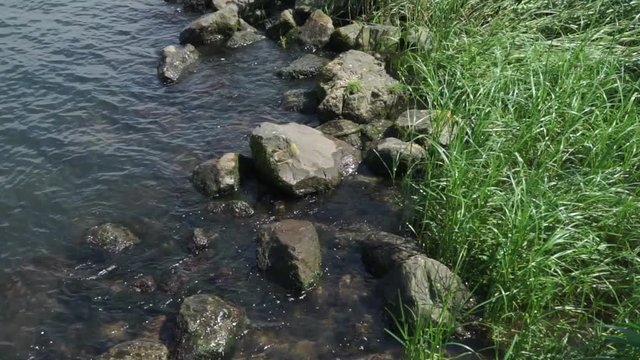 Releax Bilder – Durchsuchen 55 Archivfotos, Vektorgrafiken und Videos ...