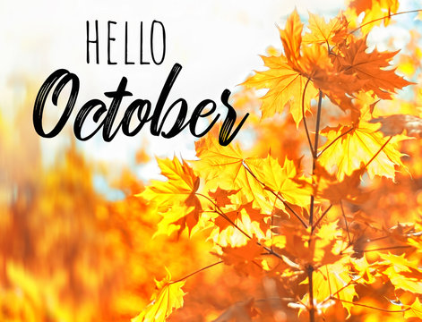 Hello October Wallpaper