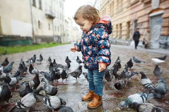 Taubenbabys Bilder – Durchsuchen 11,243 Archivfotos, Vektorgrafiken und ...