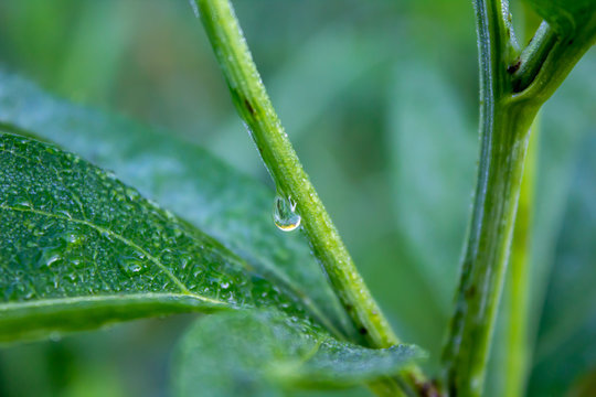 "Austin Koeckeritz"-Bilder: Stock-Fotos & -Videos. | Adobe Stock