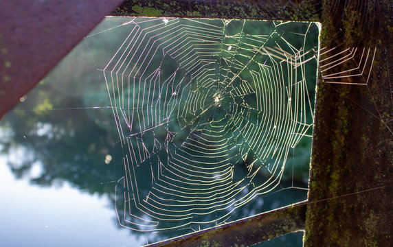 "Austin Koeckeritz"-Bilder: Stock-Fotos & -Videos. | Adobe Stock