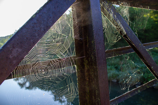 "Austin Koeckeritz"-Bilder: Stock-Fotos & -Videos. | Adobe Stock