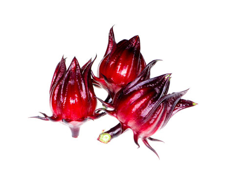 Bissap Images – Parcourir 9,520 le catalogue de photos, vecteurs et ...