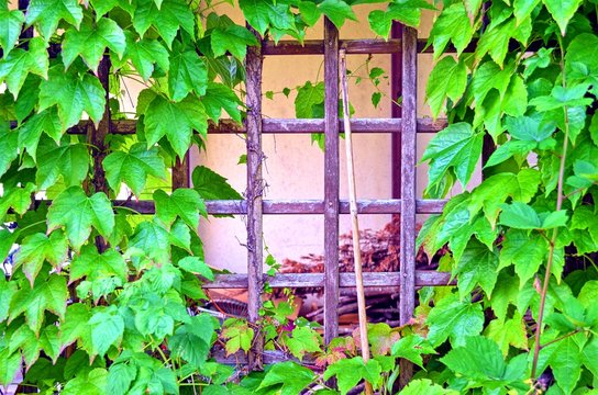 Trudge Bilder – Durchsuchen 1,383 Archivfotos, Vektorgrafiken und ...