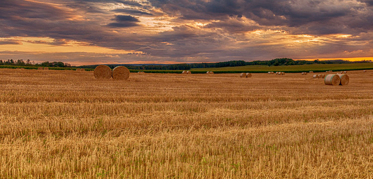 Heurolle Bilder – Durchsuchen 194 Archivfotos, Vektorgrafiken und ...