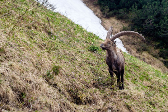 Rammen bilder – Bläddra bland 1,916 stockfoton, vektorer och videor ...