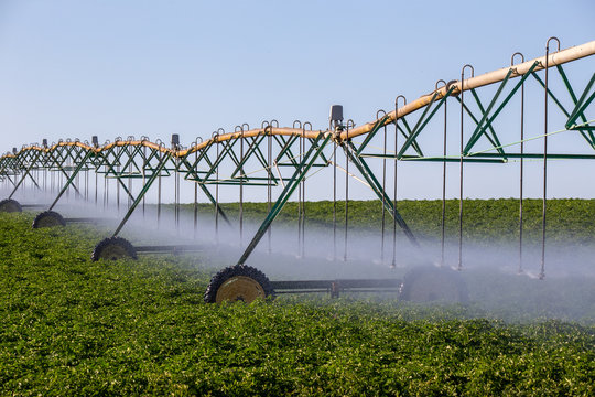 Springler Images – Browse 31 Stock Photos, Vectors, and Video | Adobe Stock