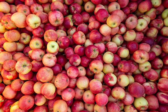 Apfelsorte Bilder – Durchsuchen 12,759 Archivfotos, Vektorgrafiken und ...