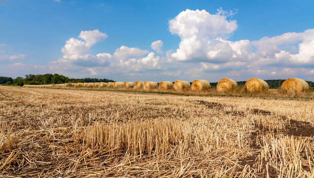รูปภาพStoppel – เลือกดูภาพถ่ายสต็อก เวกเตอร์ และวิดีโอ2,208 | Adobe Stock