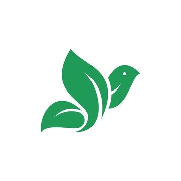 "Bird Leaf" Images – Browse 39 Stock Photos, Vectors, and Video | Adobe ...