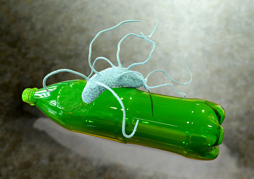 "Ideonella Sakaiensis" Images – Browse 16 Stock Photos, Vectors, and ...