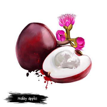 Lian-Woo Images – Browse 46 Stock Photos, Vectors, and Video | Adobe Stock