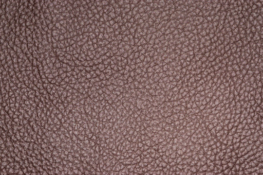 Browb Images – Browse 33 Stock Photos, Vectors, and Video | Adobe Stock