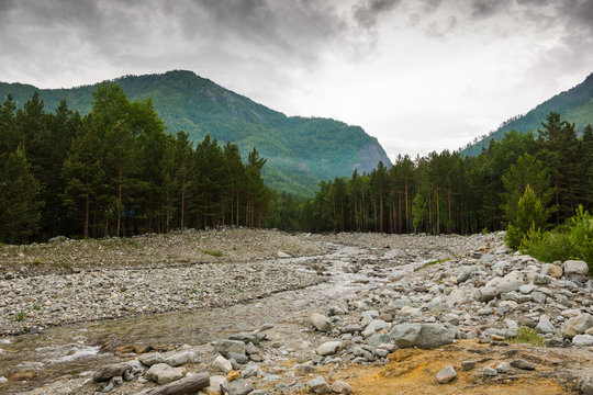 "Siberian Nature" Images – Browse 1,497 Stock Photos, Vectors, and Video | Adobe Stock