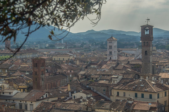 Guinigi 이미지 – 찾아보기 960 스톡 사진, 벡터 및 비디오 | Adobe Stock