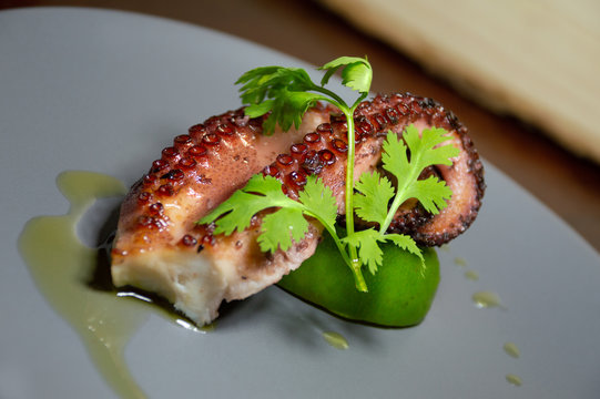 LAS 384 MEJORES IMÁGENES, FOTOS DE ARCHIVO Y VECTORES DE Gajo | Adobe Stock