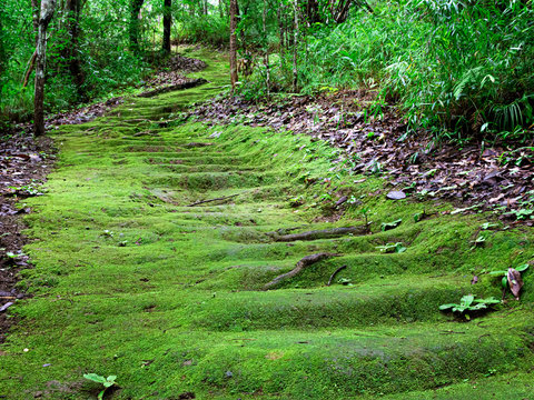 Bokke Images – Browse 222 Stock Photos, Vectors, and Video | Adobe Stock