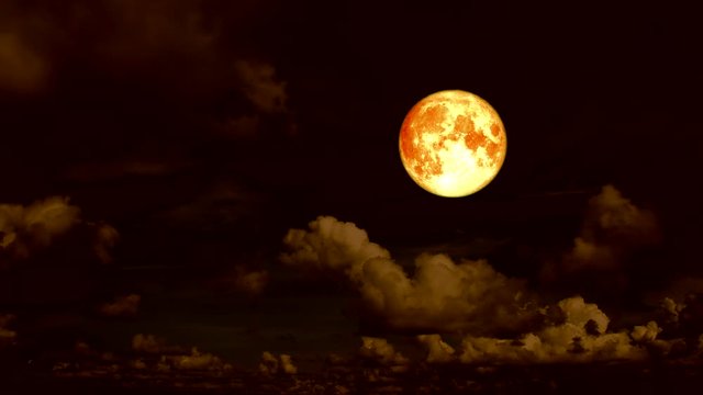 Noght 影像 – 瀏覽 226 個素材庫相片、向量圖和影片 | Adobe Stock