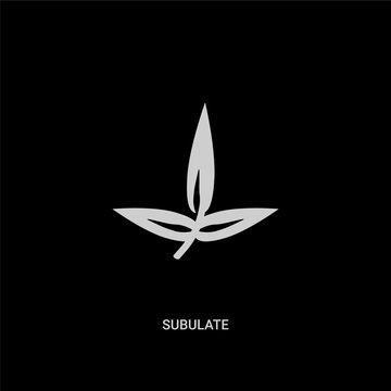 Subulate Images – Browse 570 Stock Photos, Vectors, and Video | Adobe Stock