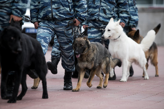 「Malinua」の画像 - 135 件の Stock 写真、ベクターおよびビデオ | Adobe Stock