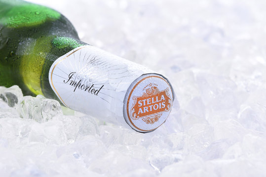รูปภาพ"Stella – เลือกดูภาพถ่ายสต็อก เวกเตอร์ และวิดีโอ30,393 | Adobe Stock