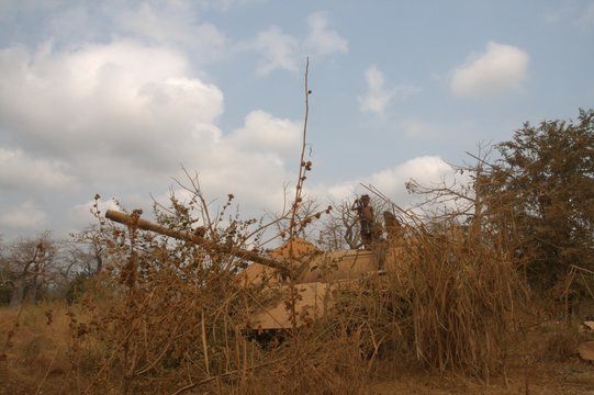 Maximo photos, images, assets | Adobe Stock