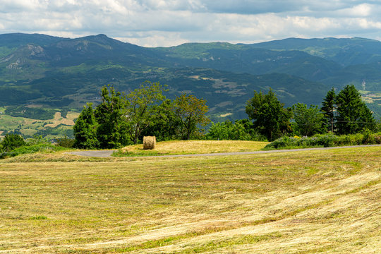 Imágenes de Penice: descubre bancos de fotos, ilustraciones, vectores y ...