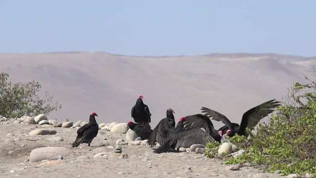 Jote Images – Browse 181 Stock Photos, Vectors, and Video | Adobe Stock