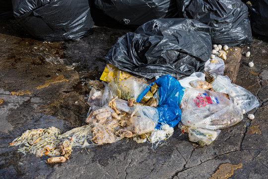 รูปภาพDisgusting – เลือกดูภาพถ่ายสต็อก เวกเตอร์ และวิดีโอ193,922 ...