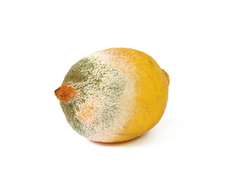 Ciron Images – Browse 14 Stock Photos, Vectors, and Video | Adobe Stock