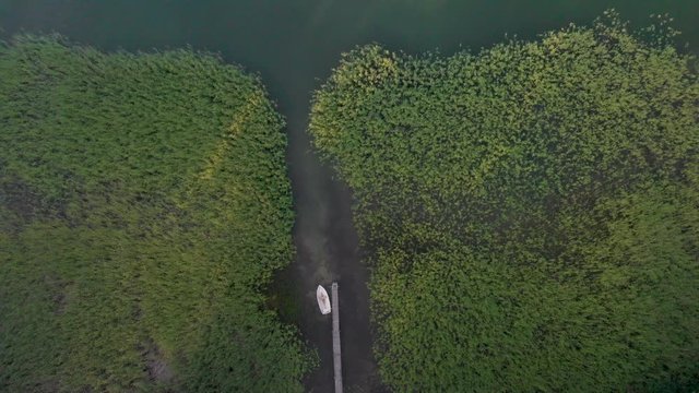 Hvittrask Images – Browse 55 Stock Photos, Vectors, and Video | Adobe Stock