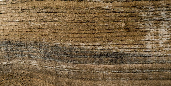 Ligneous bilder – Bläddra bland 13,290 stockfoton, vektorer och videor ...