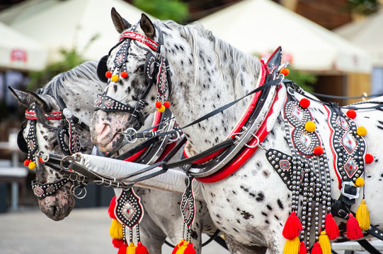 Ebent Bilder – Durchsuchen 68 Archivfotos, Vektorgrafiken und Videos ...