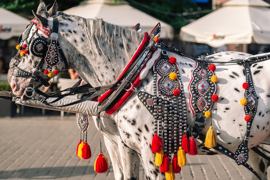 รูปภาพEbent – เลือกดูภาพถ่ายสต็อก เวกเตอร์ และวิดีโอ68 | Adobe Stock