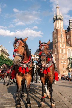 Ebent Bilder – Durchsuchen 68 Archivfotos, Vektorgrafiken und Videos ...