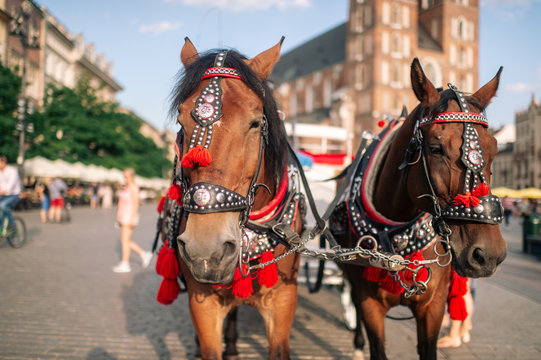 Ebent Bilder – Durchsuchen 68 Archivfotos, Vektorgrafiken und Videos ...