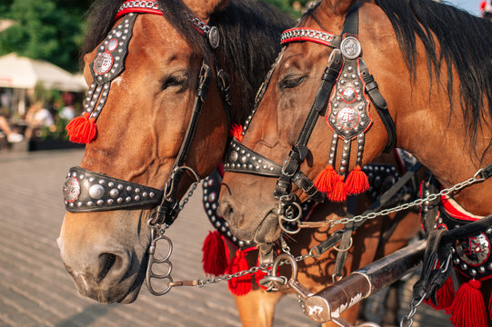 Ebent Bilder – Durchsuchen 68 Archivfotos, Vektorgrafiken und Videos ...