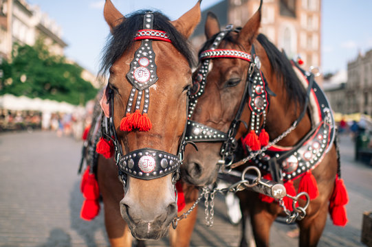 Ebent Bilder – Durchsuchen 68 Archivfotos, Vektorgrafiken und Videos ...