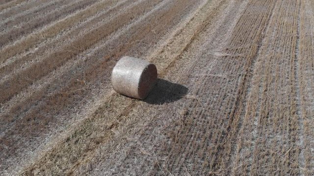 Snopek Imagens – Procure 176 fotos, vetores e vídeos | Adobe Stock