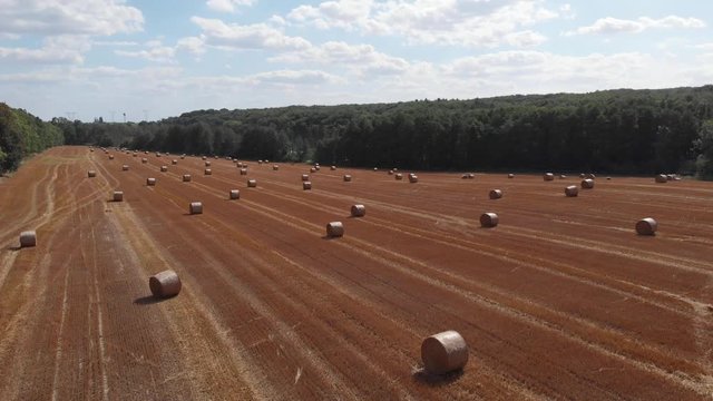 รูปภาพSnopek – เลือกดูภาพถ่ายสต็อก เวกเตอร์ และวิดีโอ176 | Adobe Stock