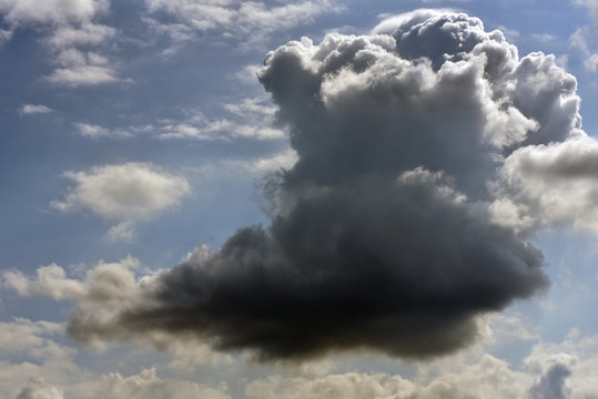 รูปภาพCumulon – เลือกดูภาพถ่ายสต็อก เวกเตอร์ และวิดีโอ100 | Adobe Stock