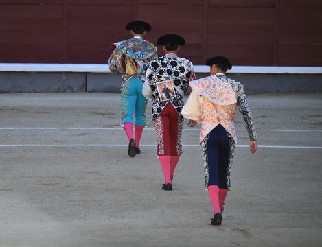 รูปภาพToreros – เลือกดูภาพถ่ายสต็อก เวกเตอร์ และวิดีโอ299 | Adobe Stock