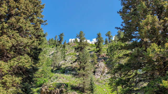 Philmont Images – Browse 28 Stock Photos, Vectors, and Video | Adobe Stock