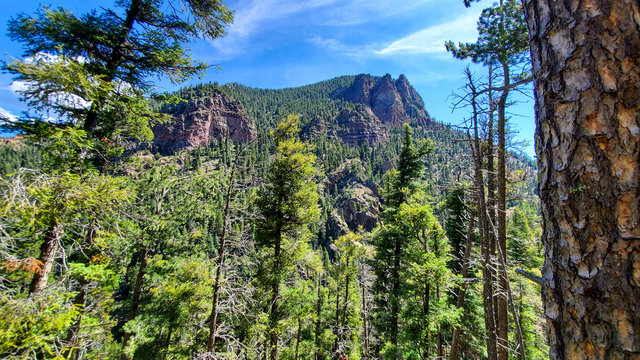 Philmont Images – Browse 28 Stock Photos, Vectors, and Video | Adobe Stock