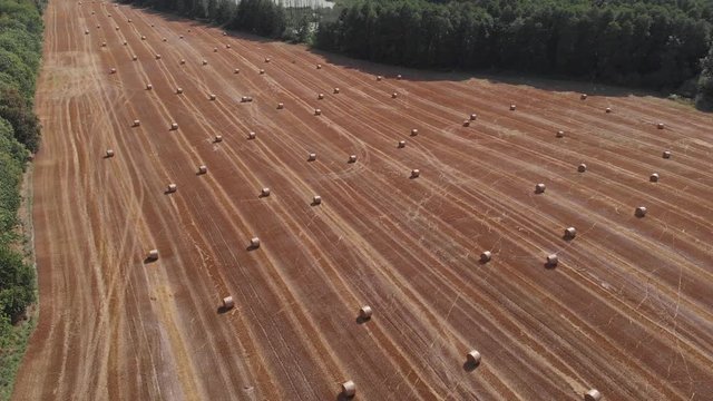 รูปภาพSnopek – เลือกดูภาพถ่ายสต็อก เวกเตอร์ และวิดีโอ176 | Adobe Stock