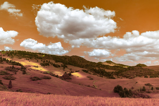 Lyddite Bilder – Durchsuchen 101 Archivfotos, Vektorgrafiken und Videos ...