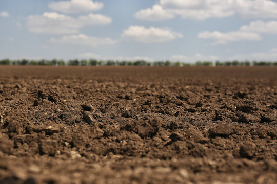 Dirt Field Background